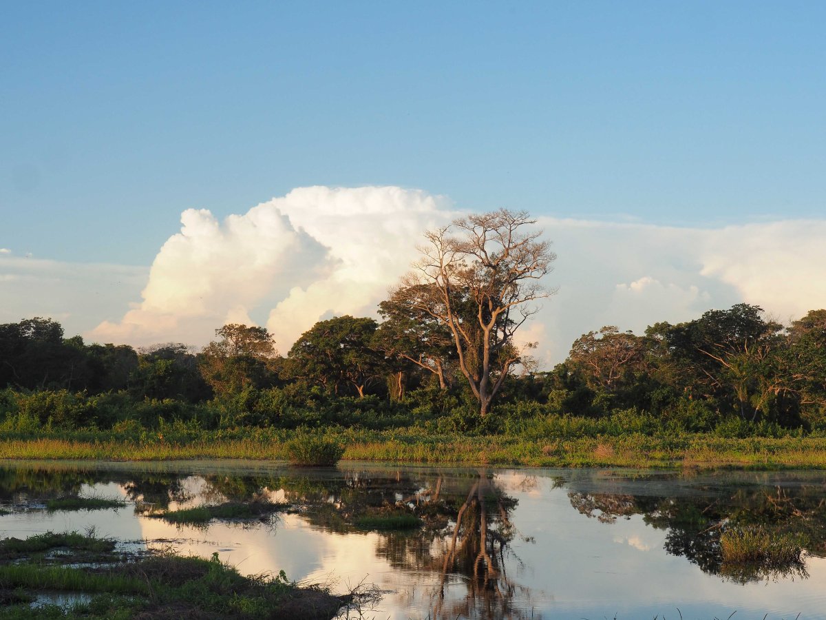 Brazil: Pantanal – the wetland paradise – hit the road…